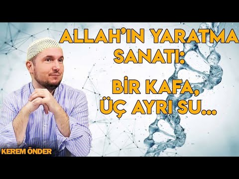 Allah'ın yaratma sanatı; bir kafa, üç ayrı su... / Kerem Önder
