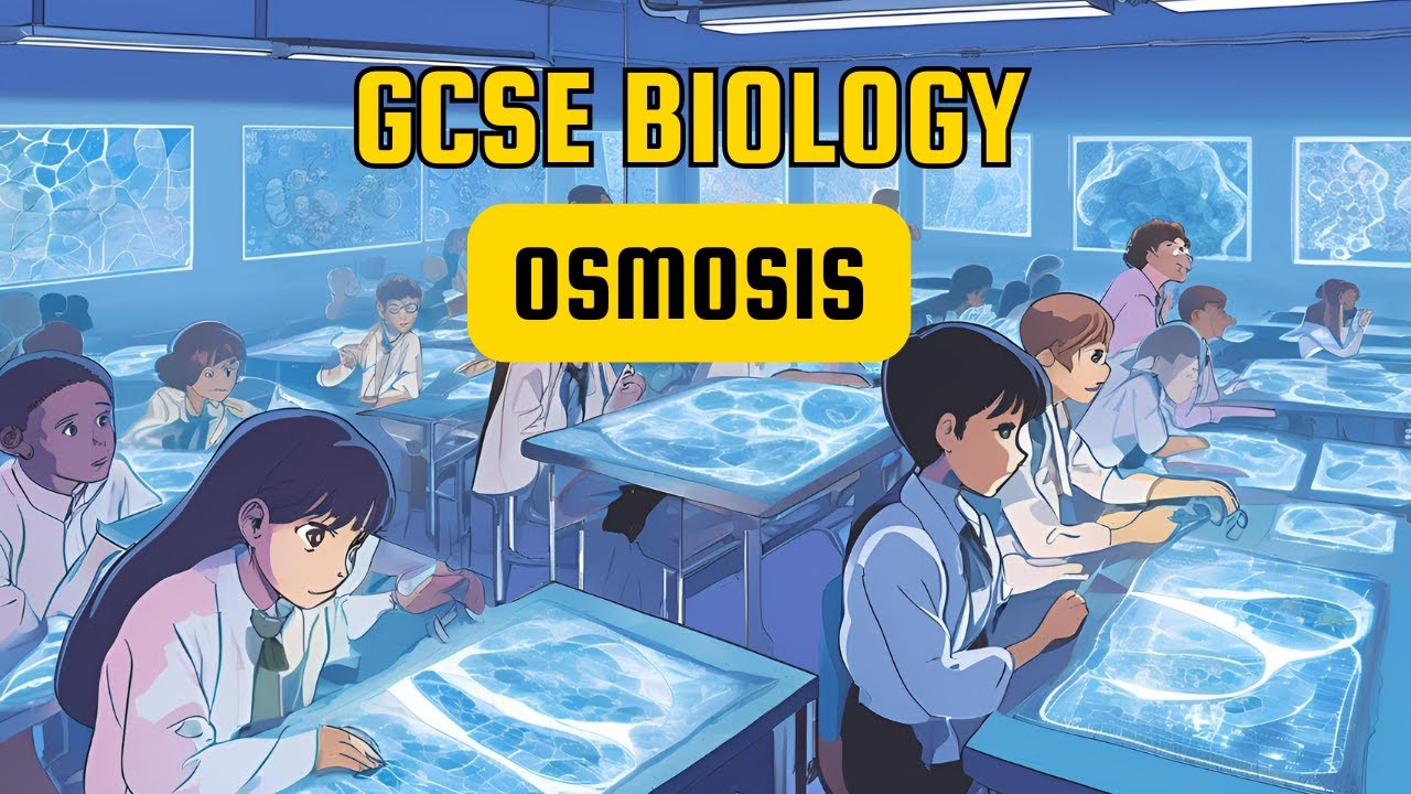 What Is Osmosis? | Cellular Water Balance Explained Simply | GCSE ...