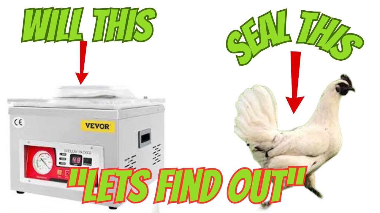 Will The Vevor DZ 260A Vacuum Sealer Seal A Whole Chicken? Lets Find ...