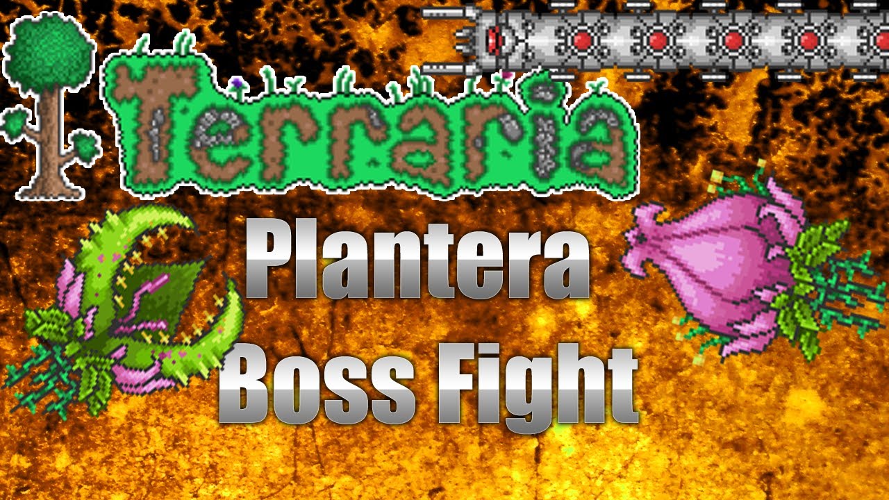 Terraria: 2 Enraged Plantera Boss Fight - YouTube