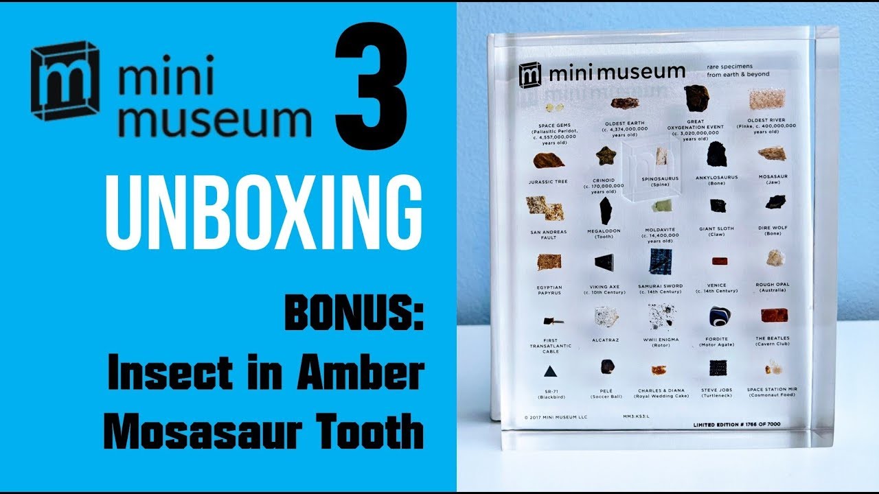 MINI MUSEUM 3 Unboxing! Plus Insect in Amber & Mosasaur Tooth! The ...