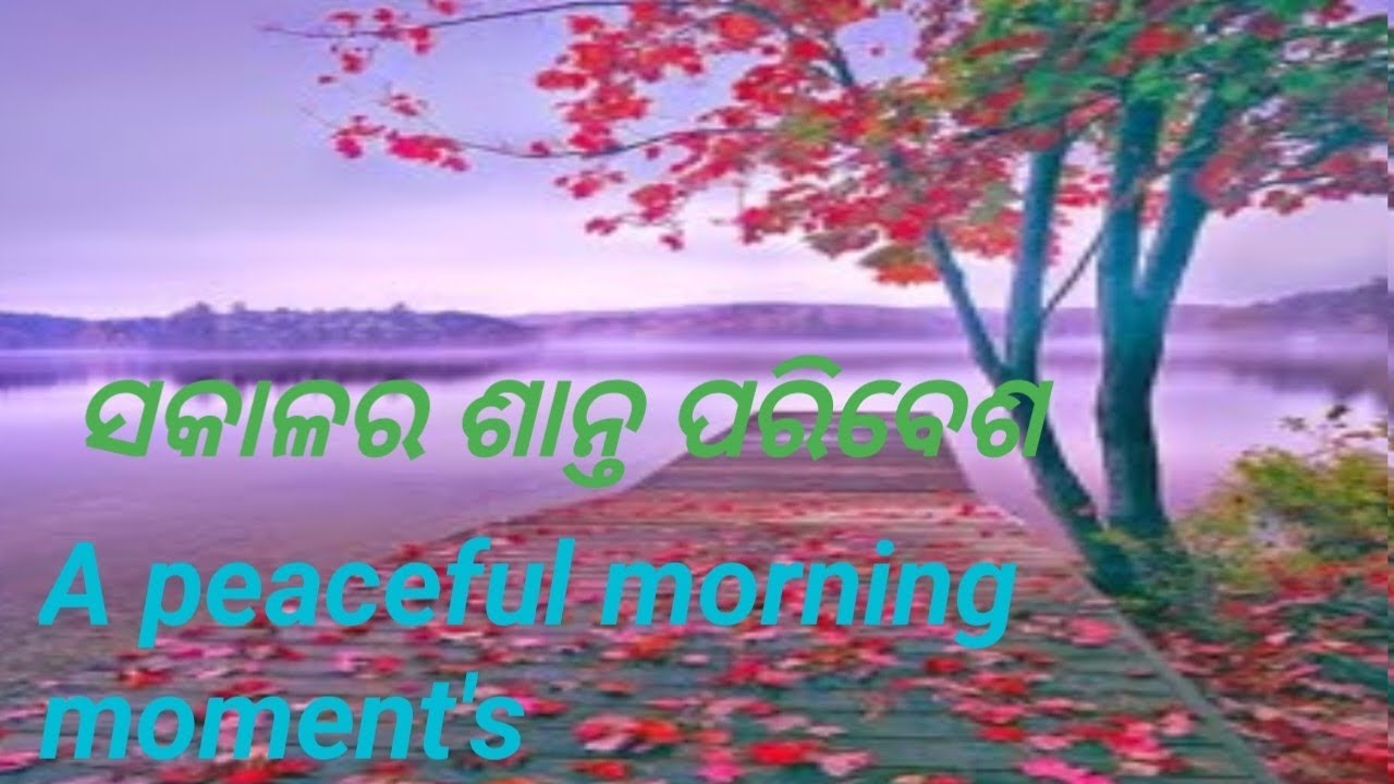 A peaceful morning moment's, ଶାନ୍ତ ସକାଳର ପରିବେଶ, YouTube video, video ...