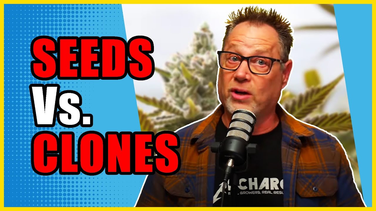 Home - Real Growers Inc