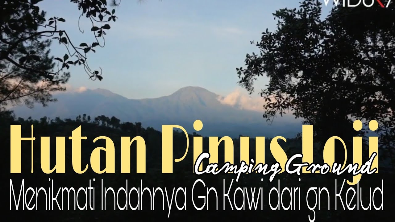 Camping Menikmati Indahnya Gunung Kawi dari Hutan Pinus Loji Gunung ...