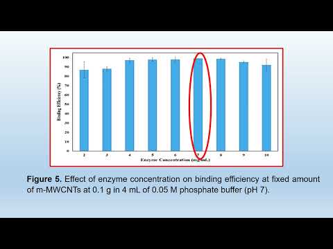 Immobilization of Laccase on Magnetized Multiwall Carbon Nanotubes