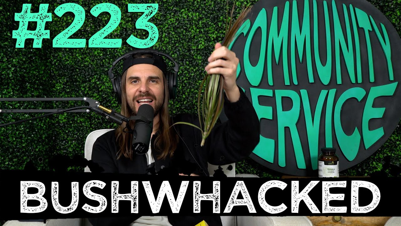 Community Service #223 - Bushwhacked - YouTube