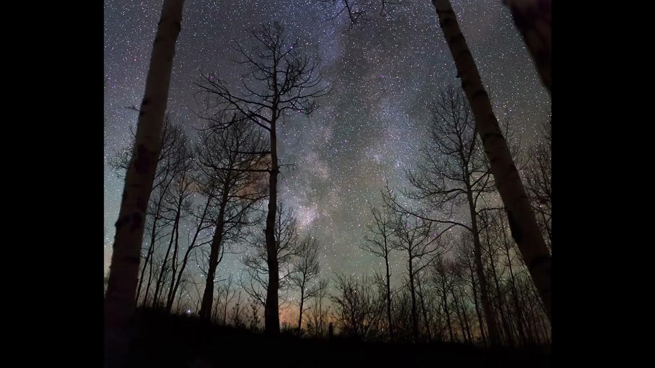 A short poem by Mary Oliver - Sleeping In The Forest - YouTube