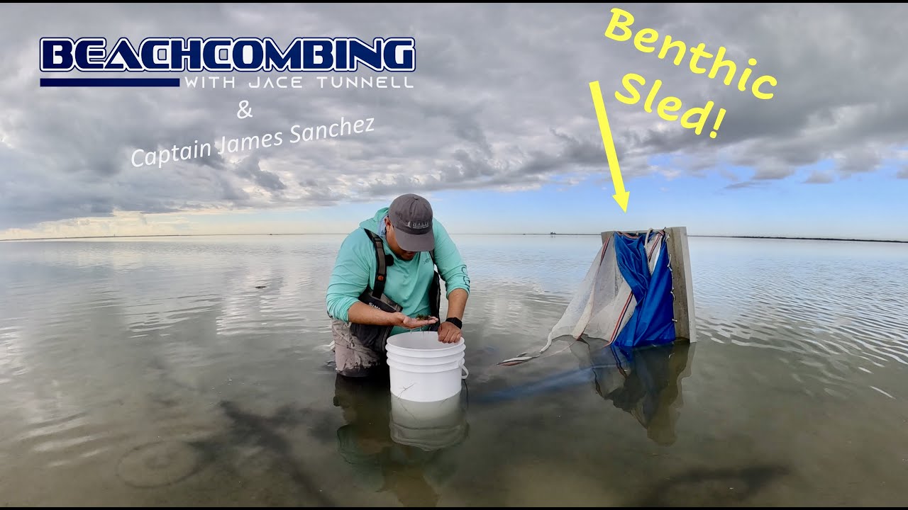 Beachcombing - Benthic Sled - YouTube