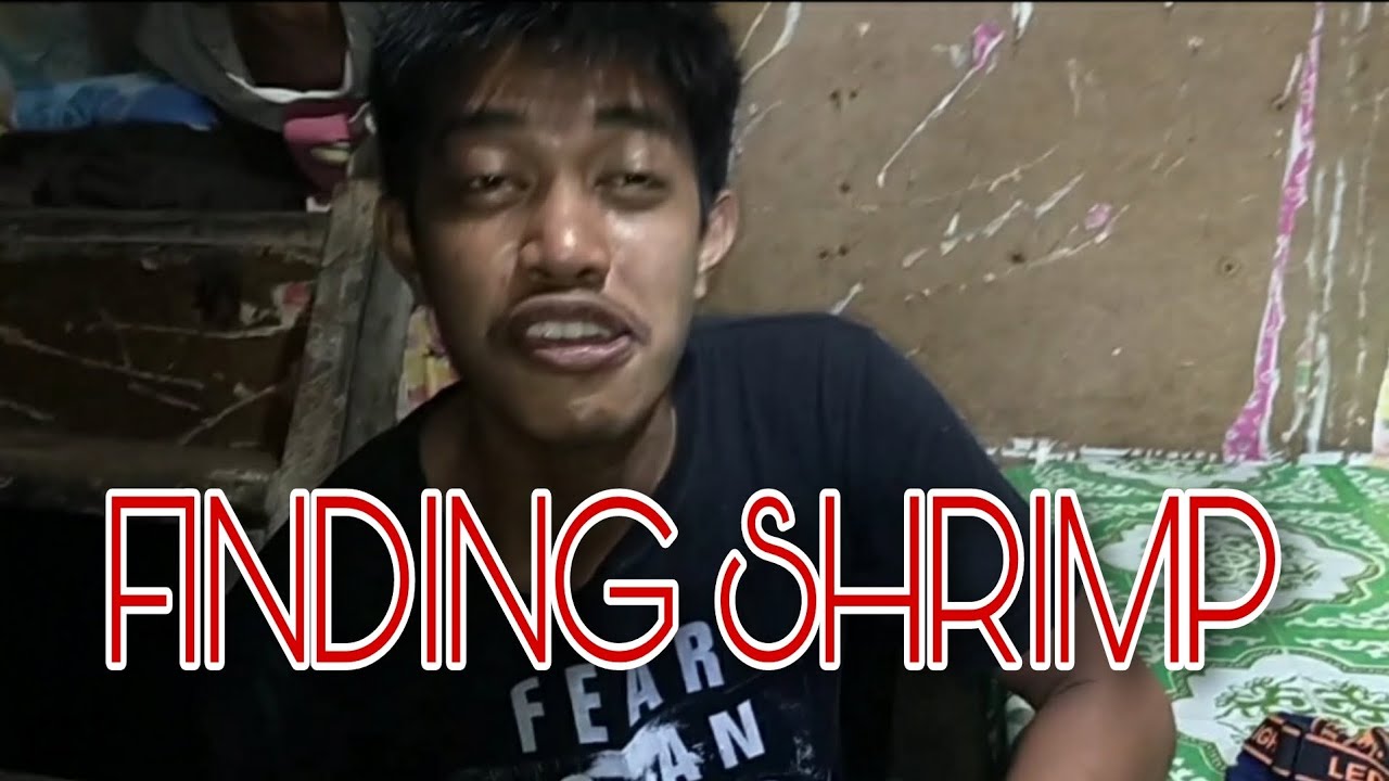 Catching Shrimp/crab @Otavi Bulan Sorsogon - YouTube