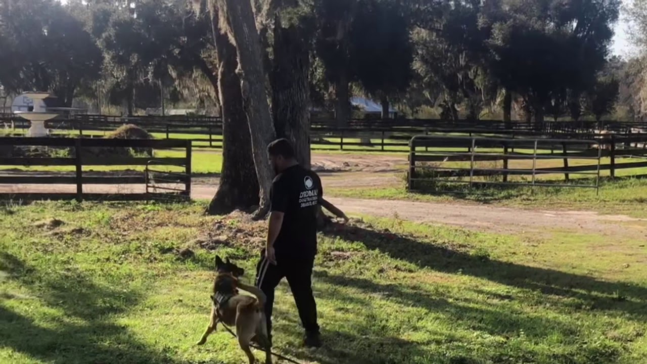 Personal Protection Training - YouTube