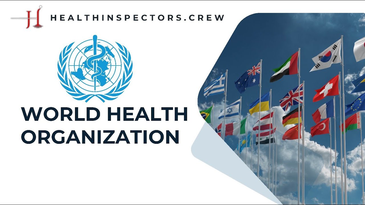 WHO – World Health Organization | DHIC 1st Year | Important 5 Mark ...