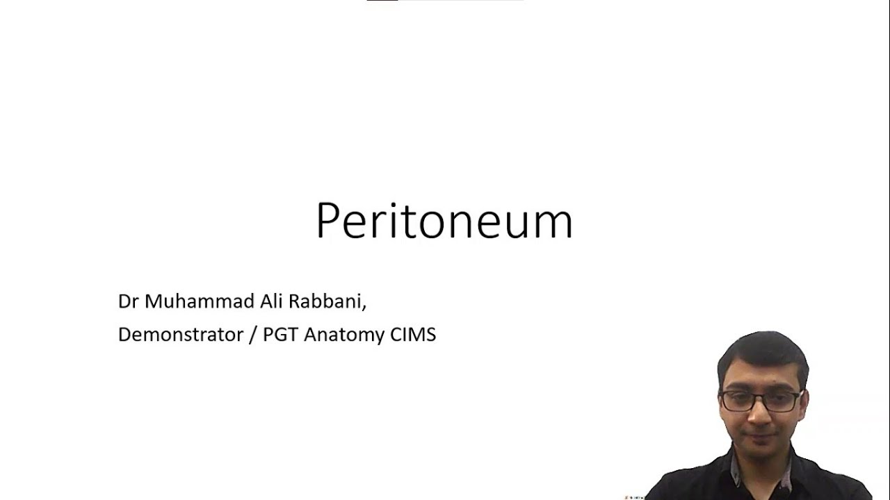 Gross Anatomy of Peritoneum - YouTube