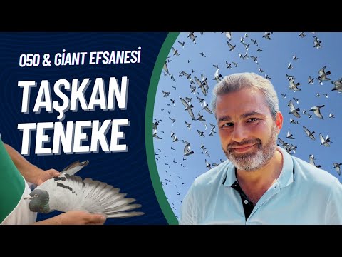 En Çok Kazandıran Yarış Güvercini 050 ve En Çok Konuşulan O Kümes.