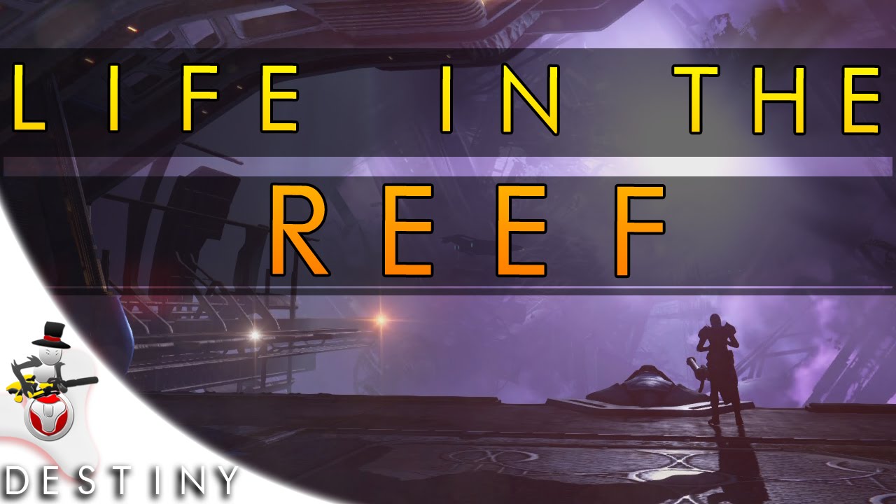 Destiny - Life In The Reef - Timelapse - YouTube