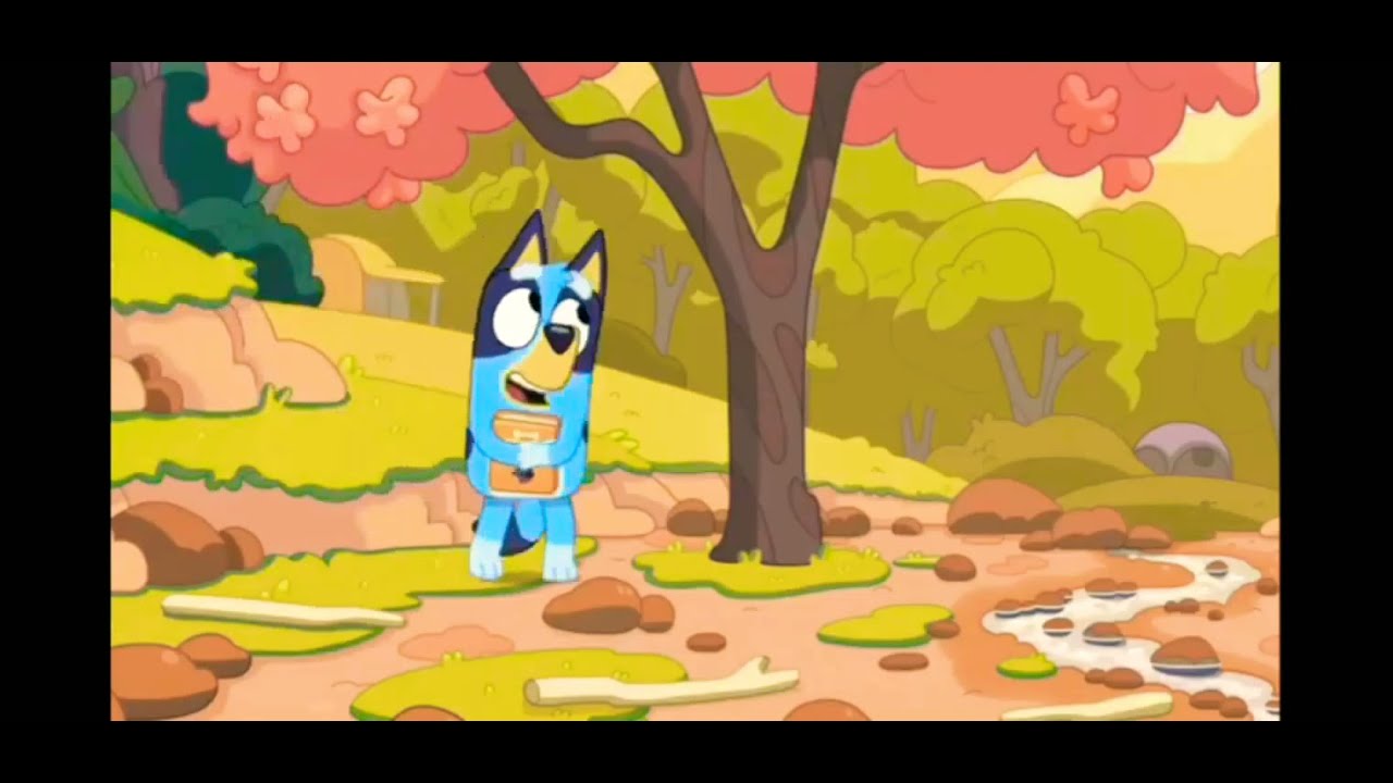 Bluey campamento parte final - YouTube