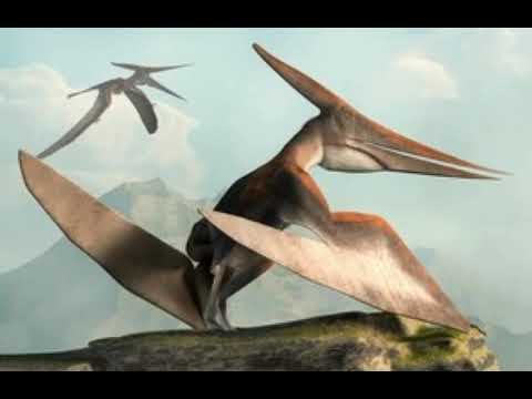 Pteranodon Sound Effects 🦖 🔊