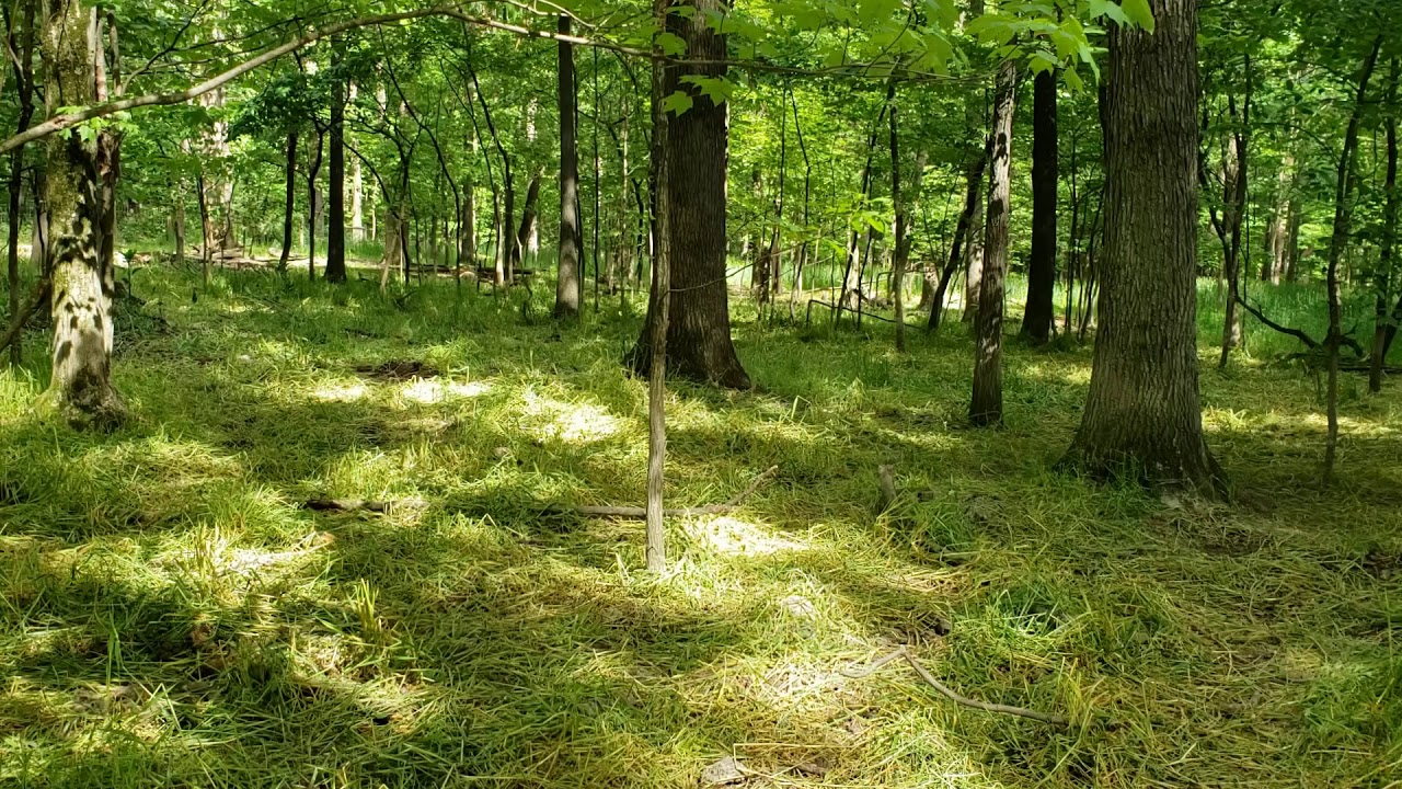 A Perfect Paddock Shift. - YouTube