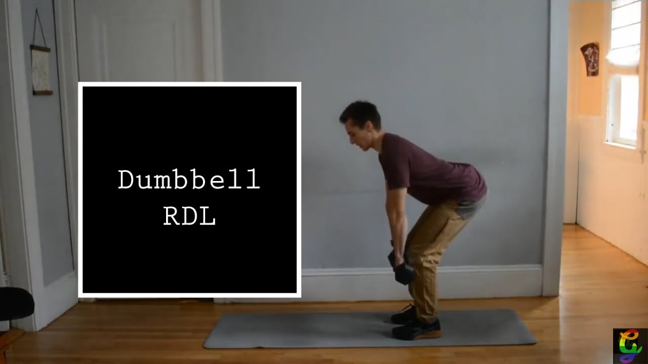 Dumbbell Reverse Deadlift - YouTube