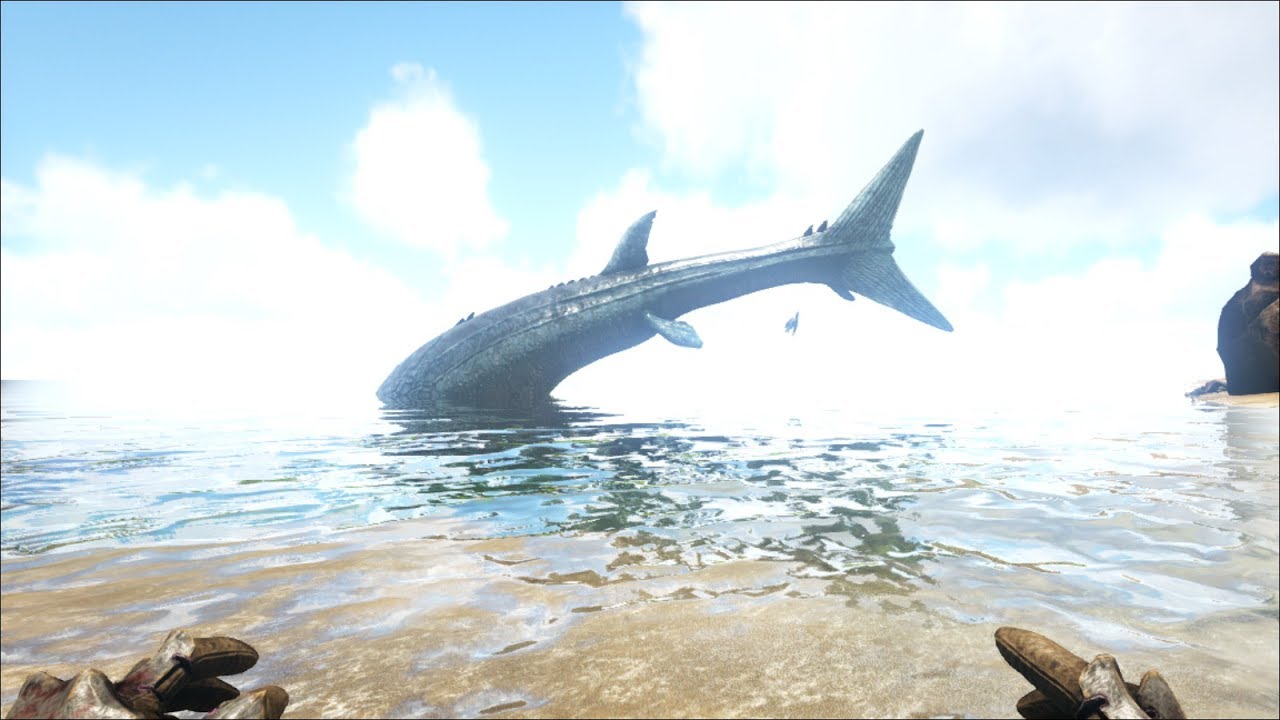 Ark #17 (Beached Whale) - YouTube