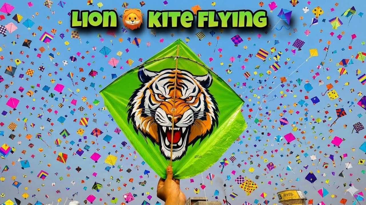 Lion kite flying & kite testing 🦁🪁 | Sher Patang uda di aaj 😍 | Kite ...
