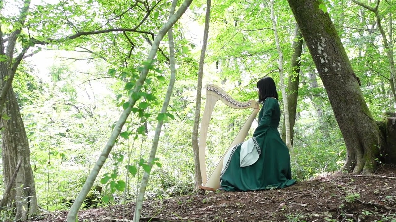 Irish Pony（Harp） - YouTube