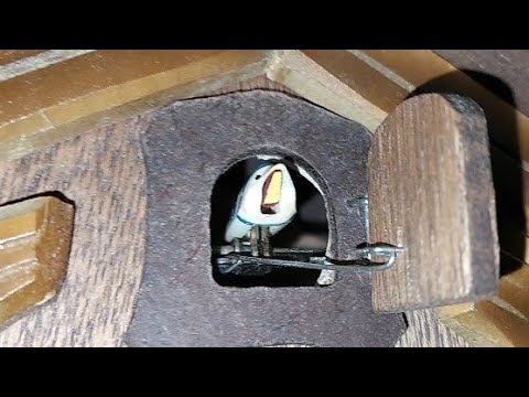 Semi-Custom Cuckoo Clock - YouTube