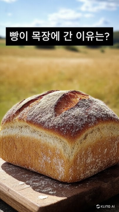 빵이 목장에 간 이유는넌센스퀴즈를 풀어보세요넌센스퀴즈 Ai 아재개그 아재개그모음 개그배틀 언어유희 메모리 말장난 웃긴영상 챗gpt 인공지능 Youtube