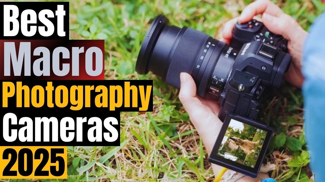 The Best Cameras for Macro Photography in 2025 | We Find the BEST Close ...