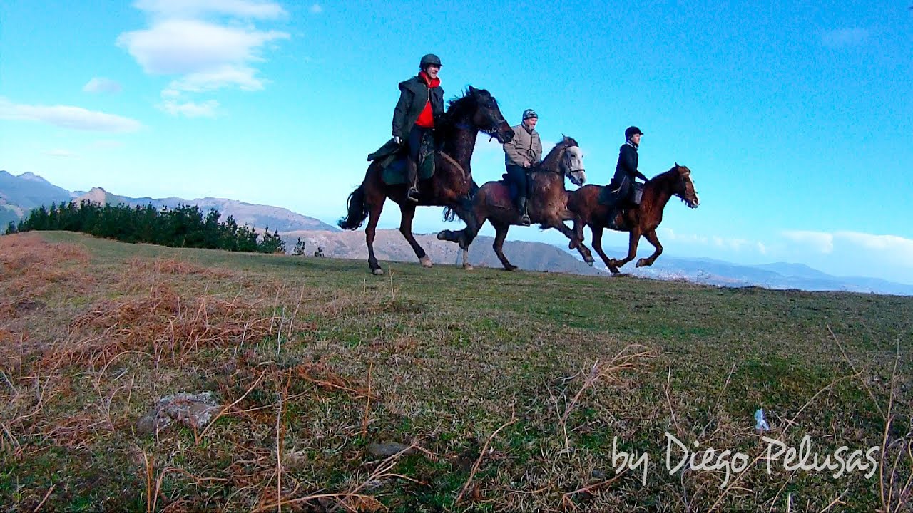 horse trail riding different words one meaning - YouTube