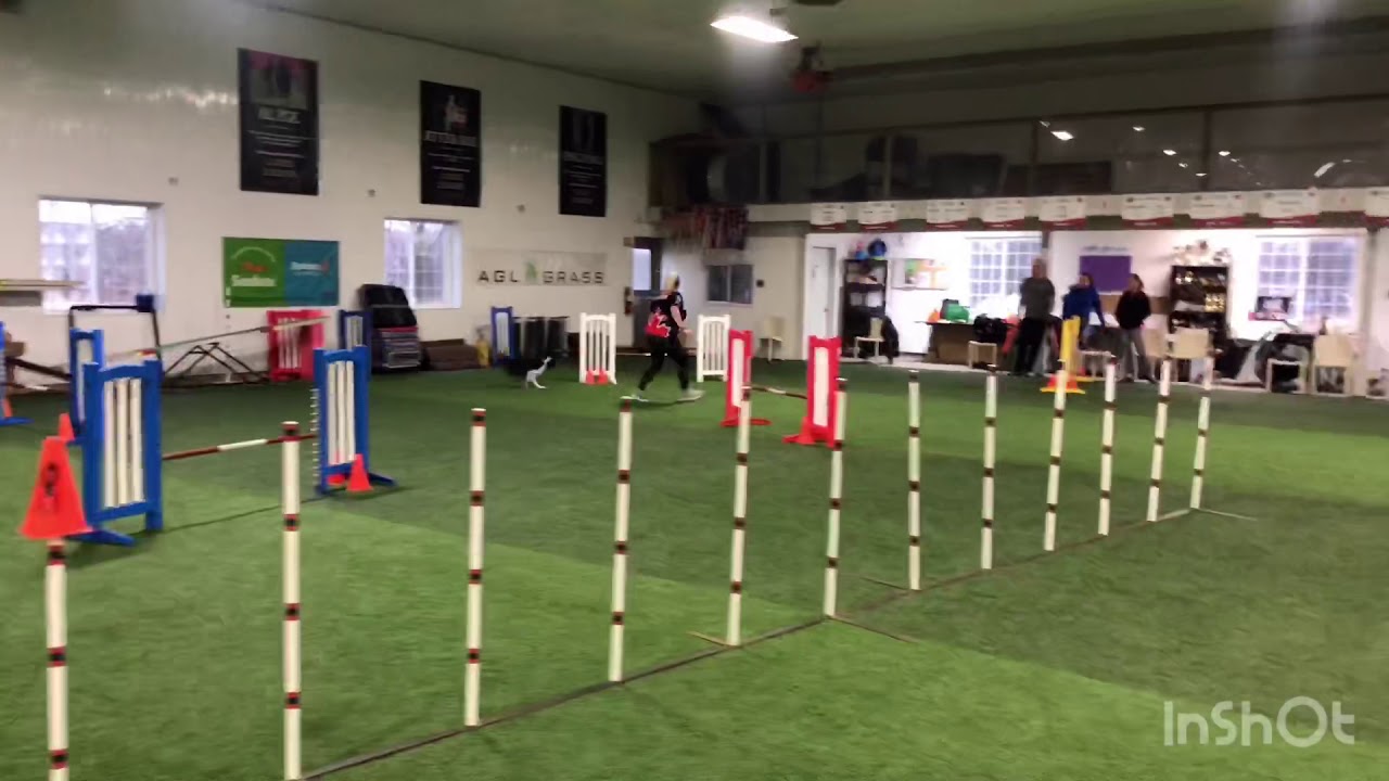 Bee-Line & Kayl McCann - D&D Seminar 2020 - YouTube