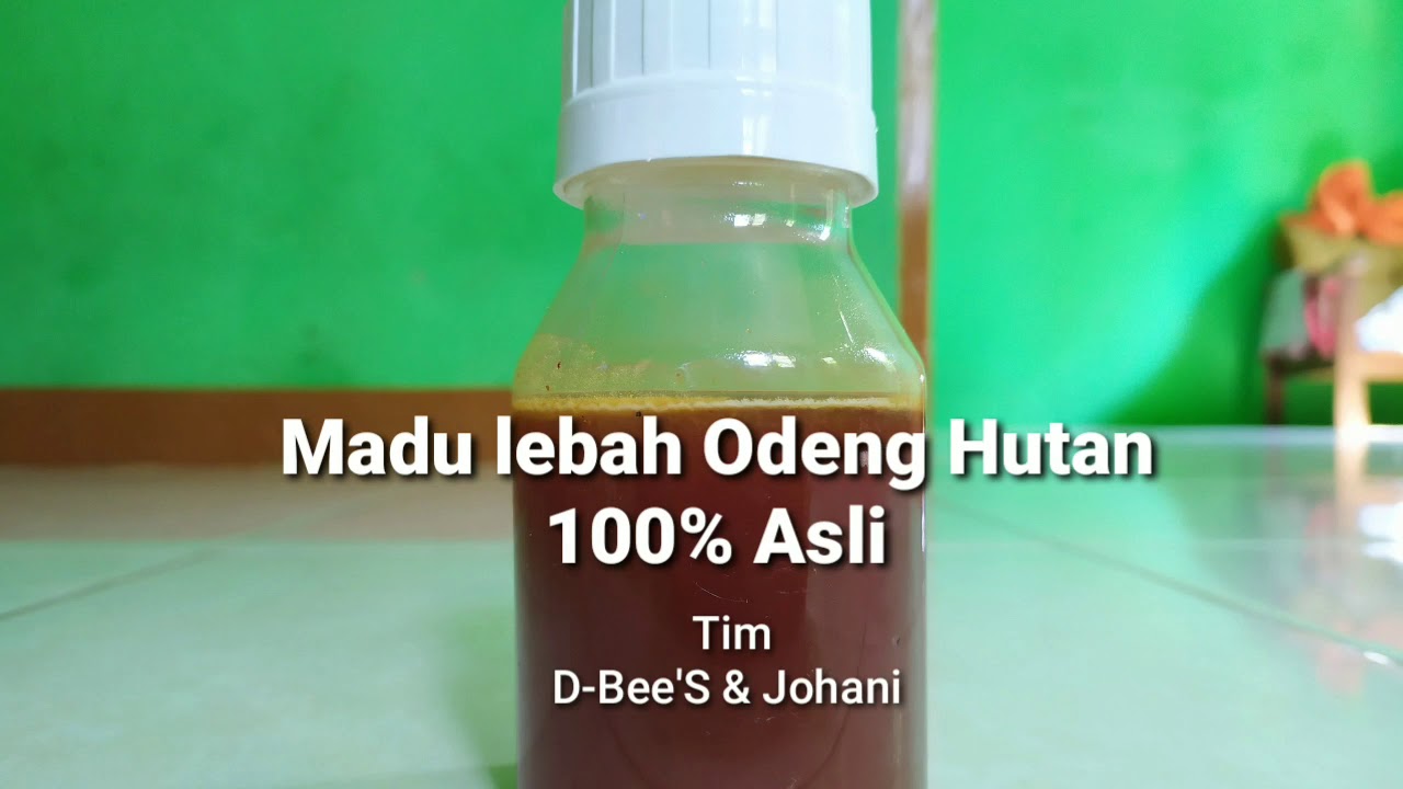 JUAL MADU LEBAH ASLI 100% MURNI - YouTube