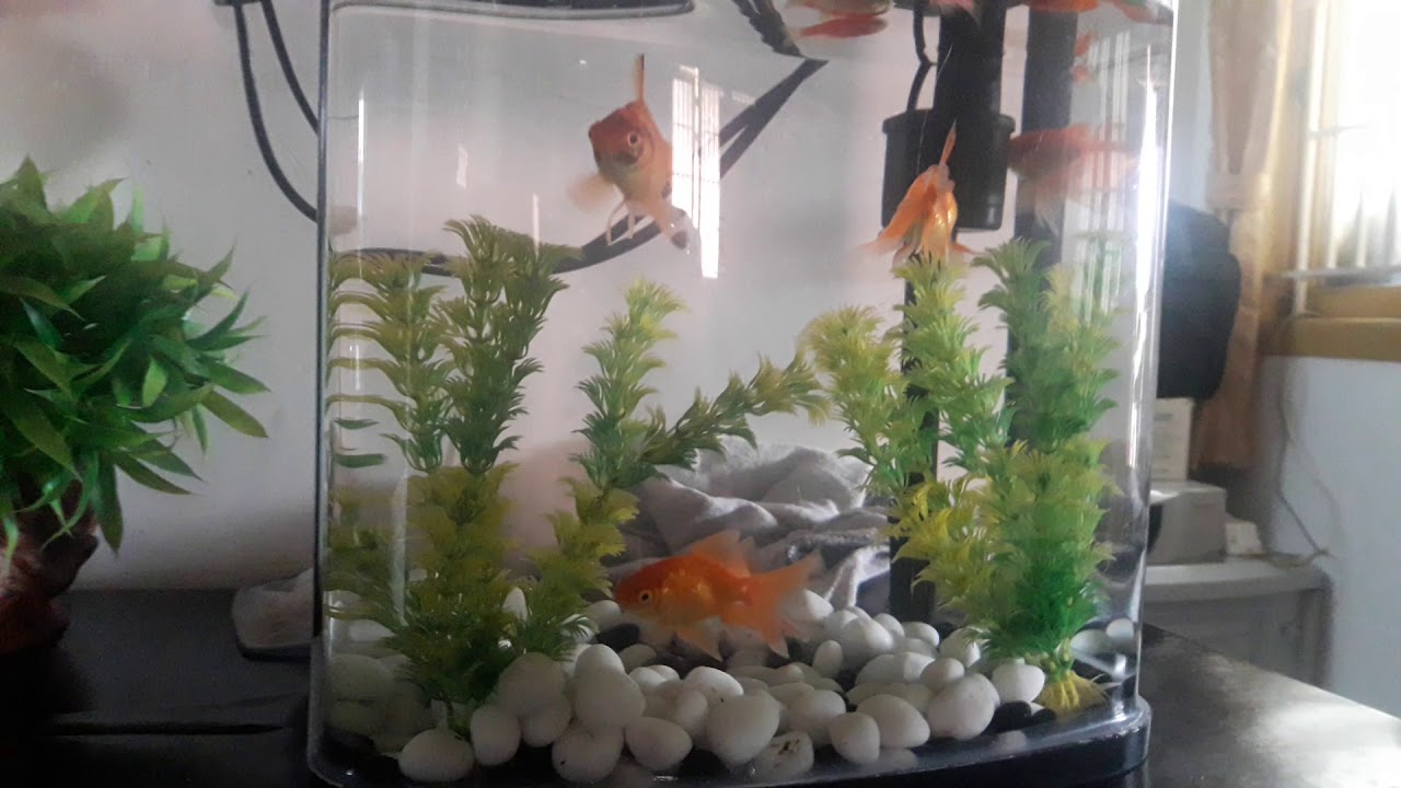 Crystal white water tank rs 6000 - YouTube