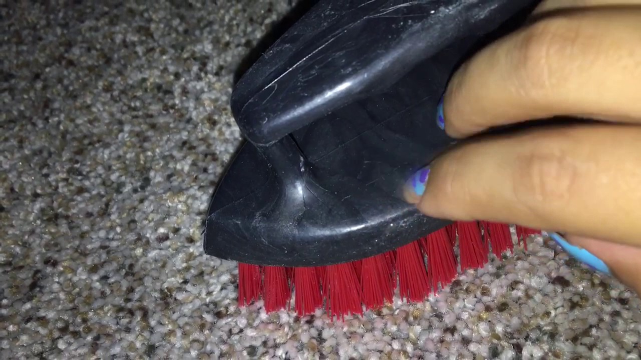 ASMR: Carpet Scrubbing, Brushing, & Scratching - YouTube