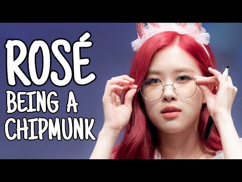 ROSÉ being a Chipmunk! #RosesAreRosieDay
