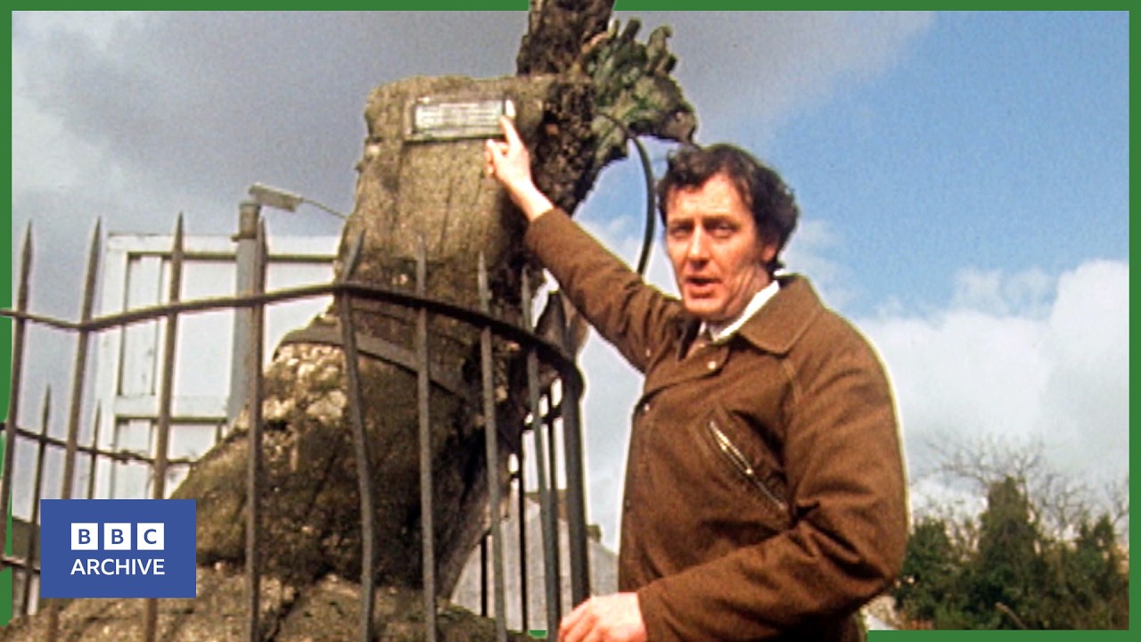 1975: The CARMARTHEN OAK - DARE anyone REMOVE it? | Nationwide | Weird ...