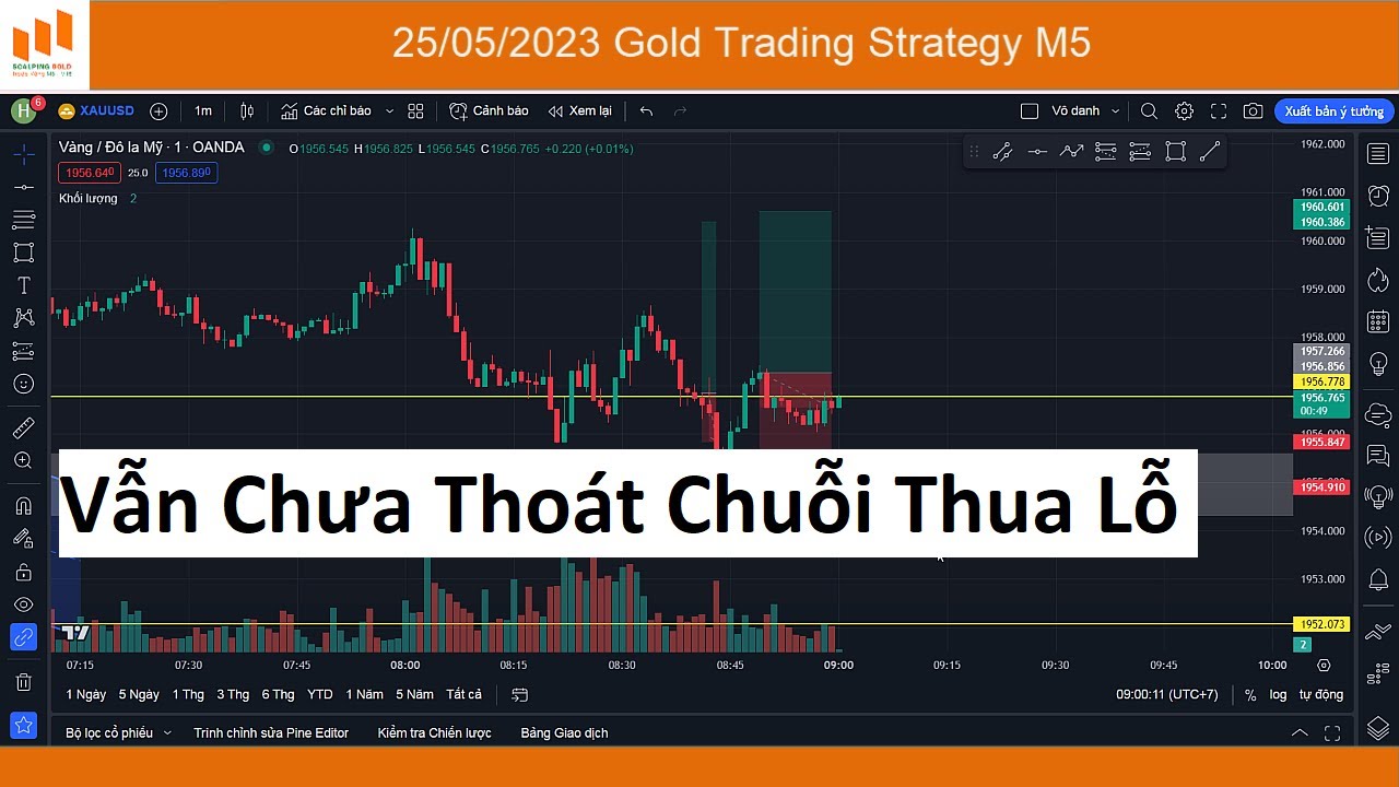 Gold Trading Strategy M5 25/05/2023 - Scalping Gold M5 - Trading Gold ...