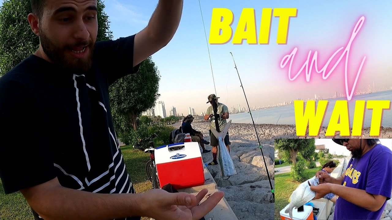 BAIT and WAIT - YouTube