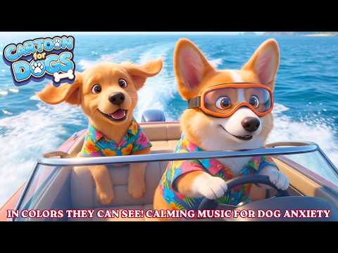 Best Dog Cartoon for Puppies to Watch, in Colors They Can See! 🐶 Anti-Anxiety & Prevent Boredom
