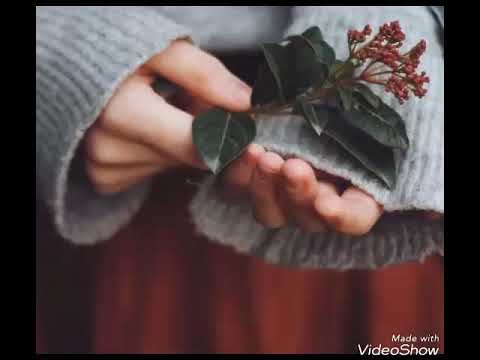 Anlatamıyorum - Orhan Veli Kanık  /  Ahmet Ahlas