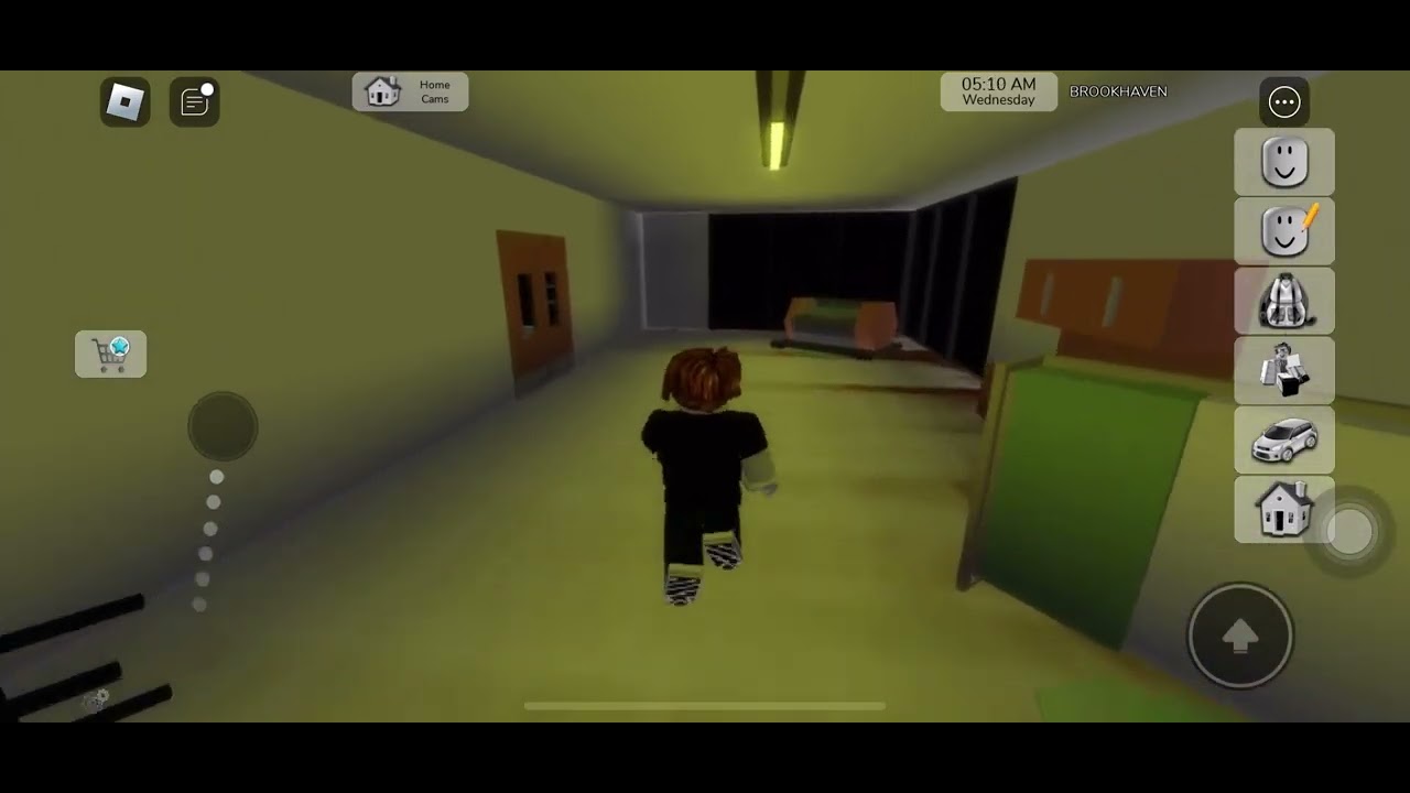Finding Mr Brookhaven in Roblox - YouTube
