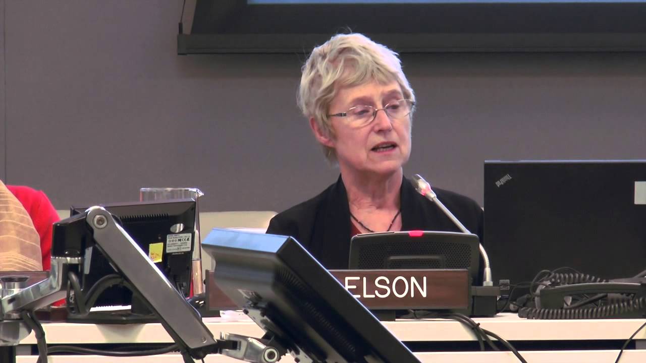 CDP -- Panel discussion: Presentation by Prof. Diane Elson - YouTube