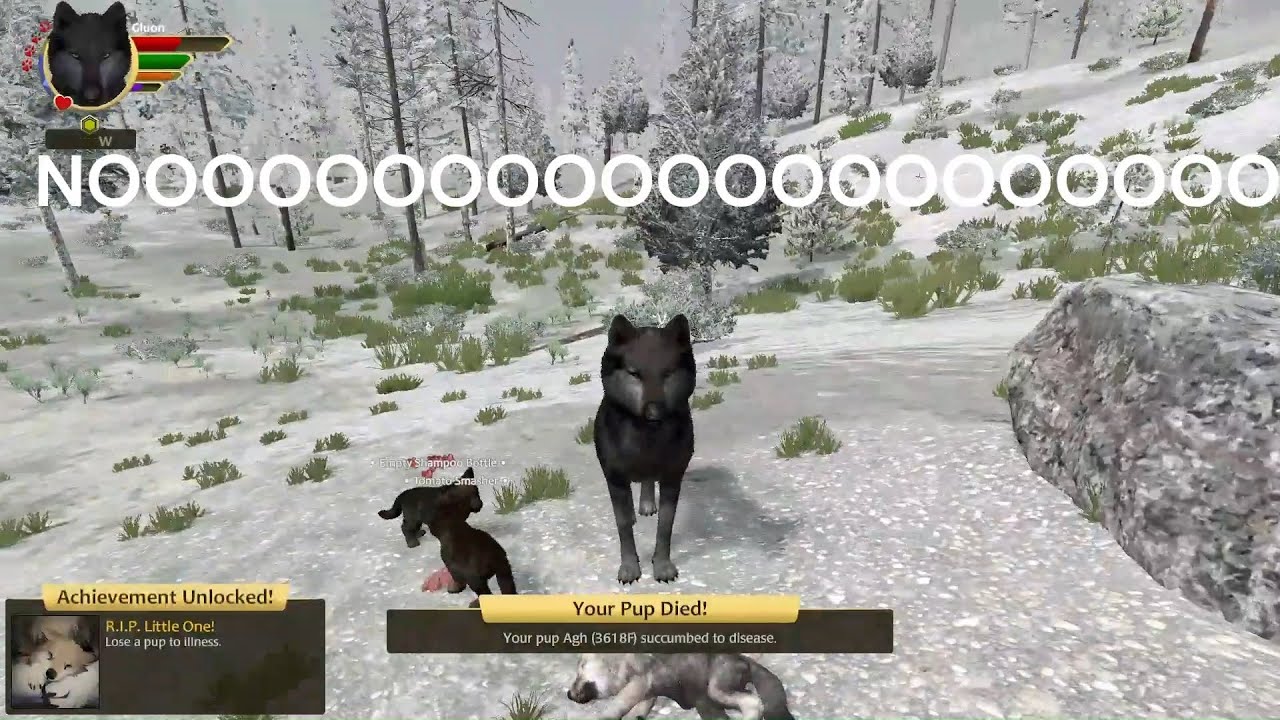 Wolfquest Accurate Gen4 #2(SAGA BETA VERSION&FULL VERSION) - YouTube
