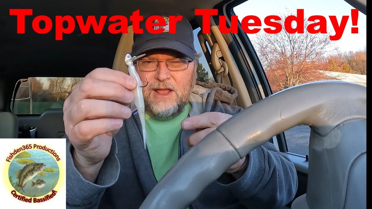 Scrounger Head Topwater Tricks - YouTube