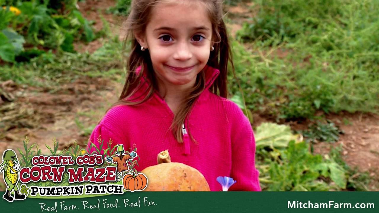 Fall Fun at Mitcham Farm (Oxford, Georgia) - YouTube