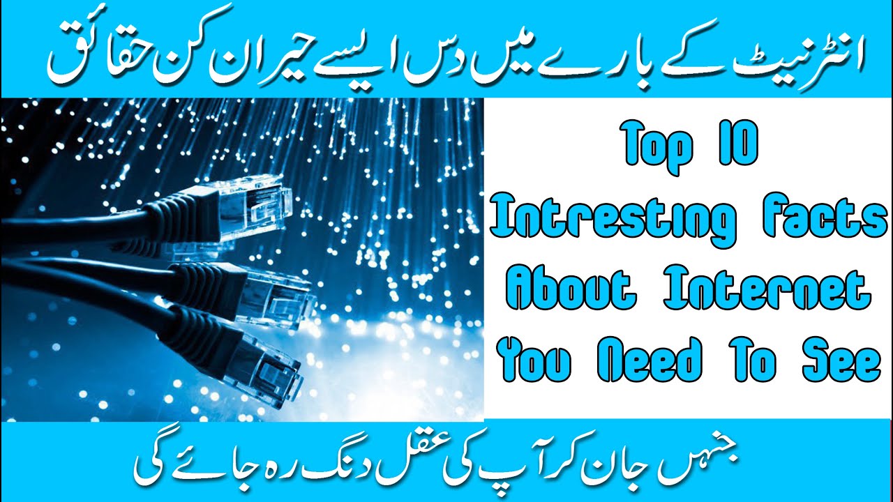 Top 10 Interesting Facts About The Internet You Really Need To Know ...