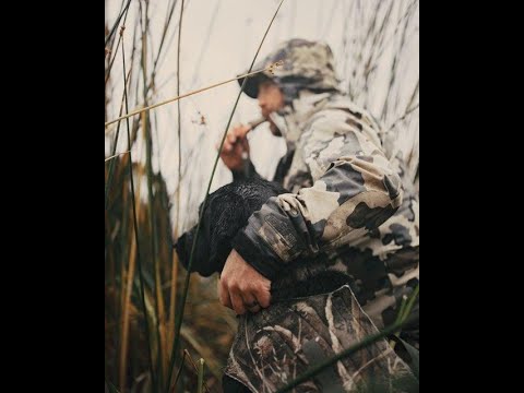 How To Butcher a Goose! - YouTube