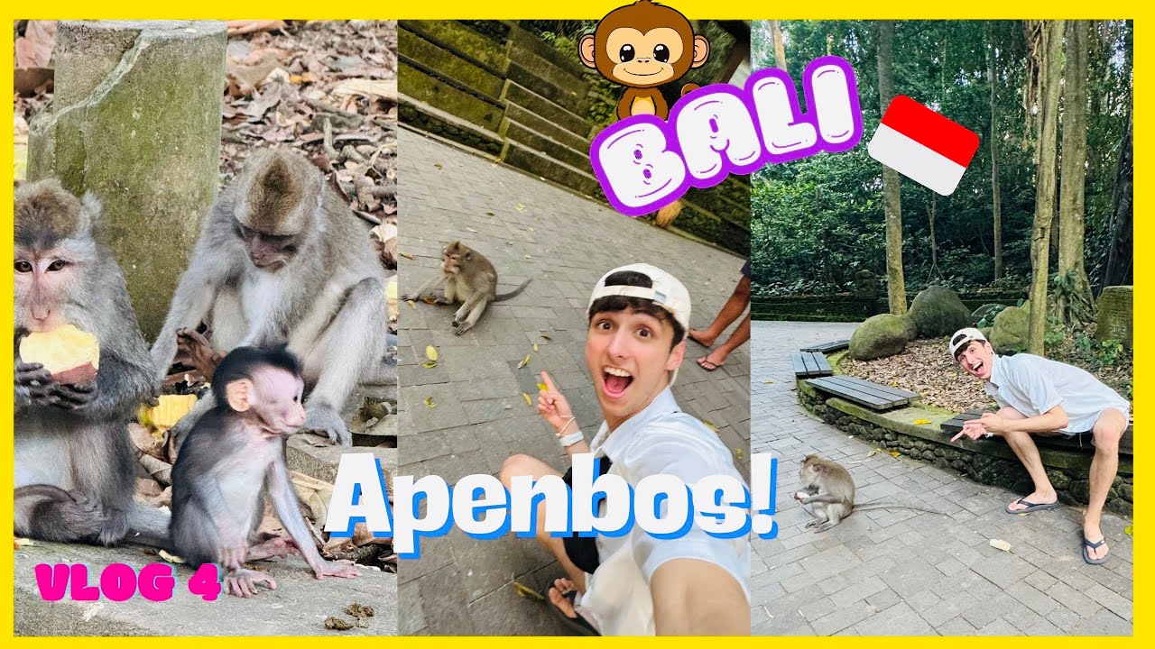 APEN RENNEN OVER JE HEEN IN HET APENBOS! 🙉 | BALI VLOG #4 - YouTube