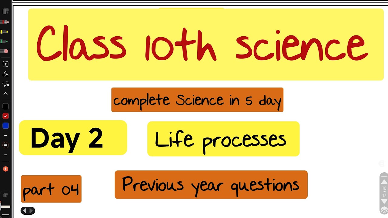 Day 2 Round Table Study is live life processes - YouTube
