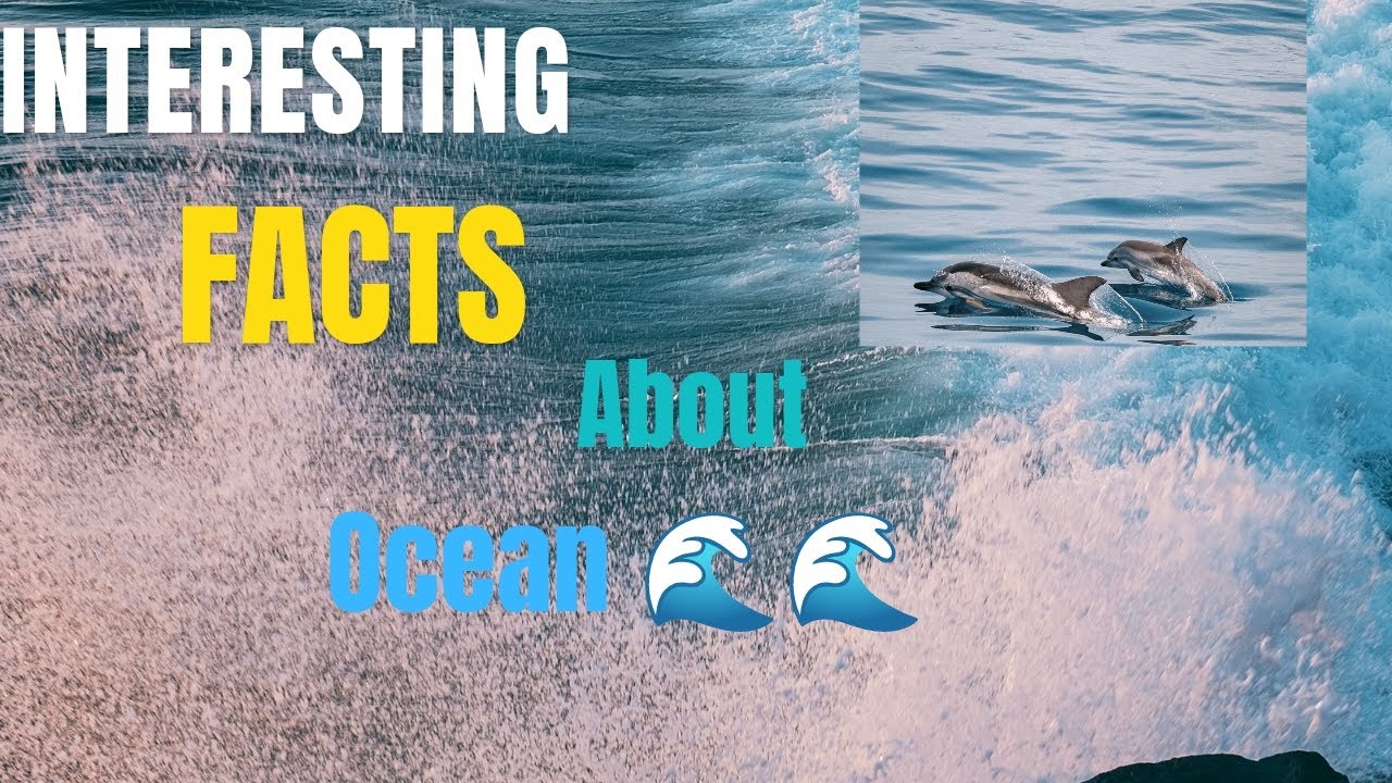 AMAZING FACTS ABOUT OCEAN//🌊🌊FACTS - YouTube