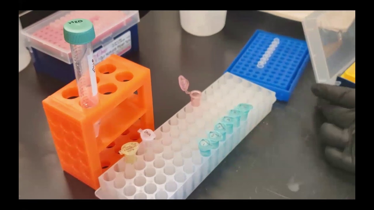 BIOL 316 Lab Week 1: Let's Make DNA Art! - YouTube